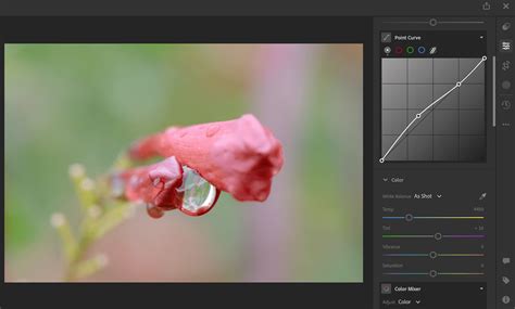 Lightroom Vs Lightroom Classic Which Is Right For You