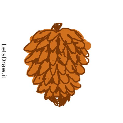 How To Draw Pine Cone I Bhoi H Png LetsDrawIt