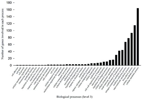 Variable Number Of Up Regulated Genes Associated With Each Biological Download Scientific