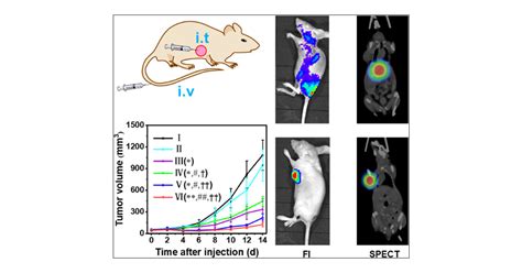 Multimodal Imaging Guided Strategy For Developing Lu Labeled MetalOrganic Framework