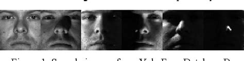 Figure 1 From Illumination Invariant Face Recognition System Semantic Scholar