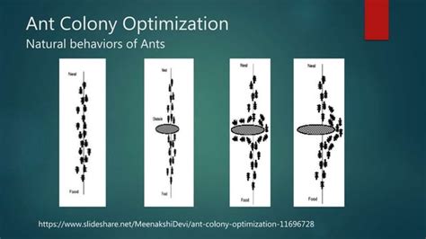 Travelling And Salesman Problem Using Ant Colony Optimization Pptx