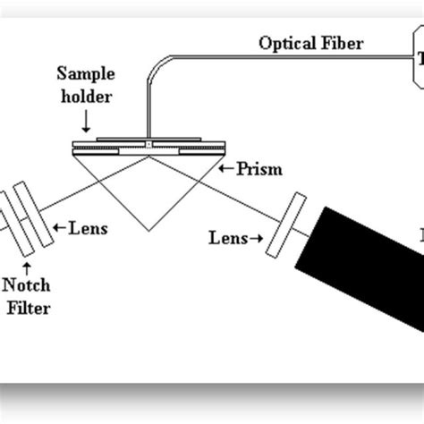 Schematic Representation Of Photoacoustic Detection Set Up Download