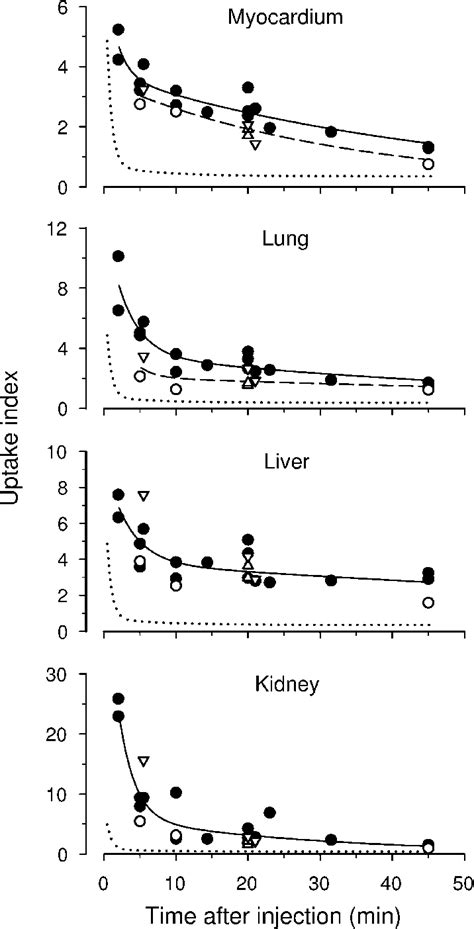 Radioactivity In Tissues Of Rats After Iv Injection Of S 11 Download Scientific Diagram