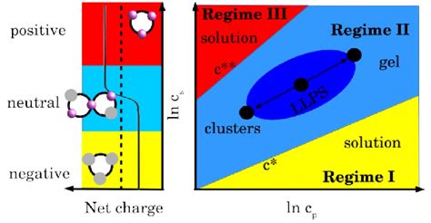 Phase Diagram Showing Regimes I Ii And Iii Reentrant Condensation And