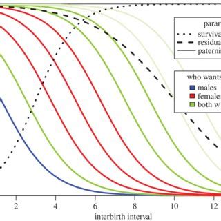 Effect Of Women S Sequential Mating On Sex Differences In Optimal IBI Download Scientific