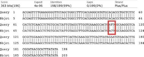 the ncbi search result the length of the query sequence in 196 with