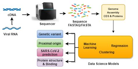 omics data generation and workflow of analysis fragments of virus