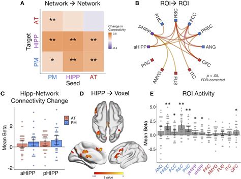 Figures And Data In Cortico Hippocampal Network Connections Support The