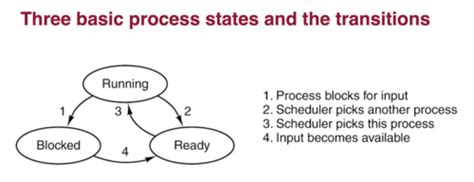 CSCE Final Flashcards Quizlet CSCE Final Flashcards Quizlet
