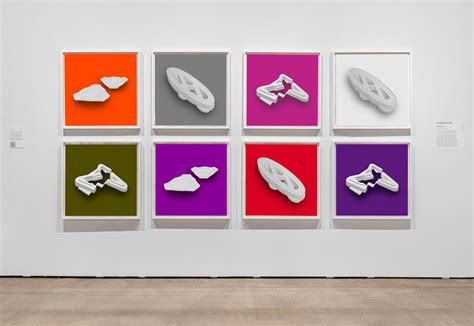 Infinite Loop Insitu Expo Chicago Langlands And Bell