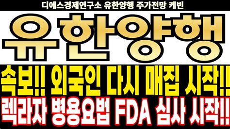유한양행 주가전망 속보 외국인 다시 매집 시작 렉라자 병용요법 Fda 심사 시작 Feat디에스경제연구소 케빈