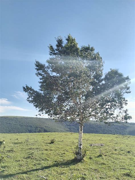 代码之美——代码整洁之道 Csdn博客