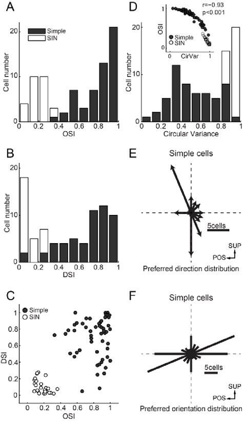 6 Orientation And Direction Tuning Properties Of Simple Cells And Download Scientific Diagram