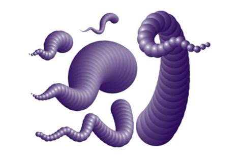 An Image Of Some Kind Of Purple Object