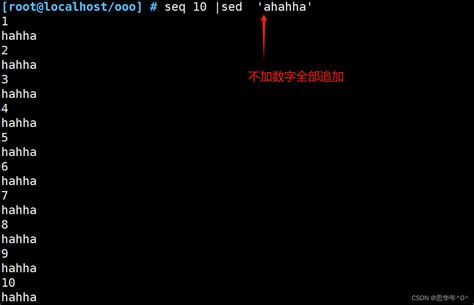 深入理解sed文本流处理工具的命令与应用 CSDN博客