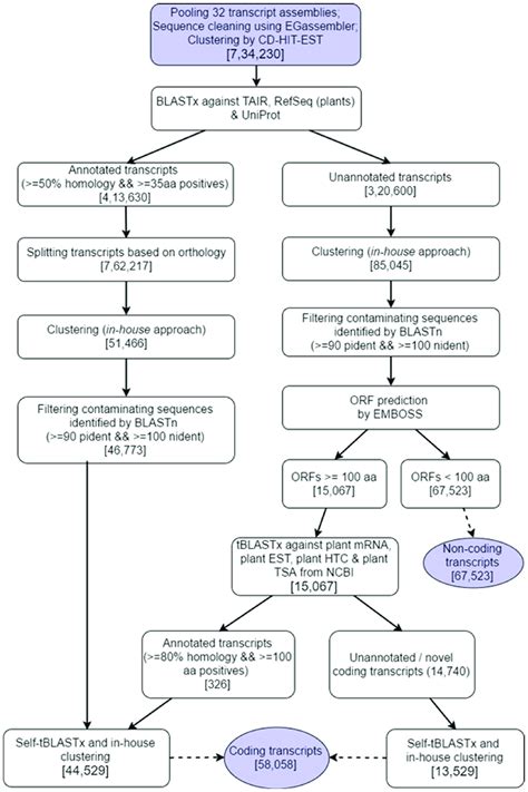 Flow Chart Showing The Approach For Generating Non Redundant Set Of