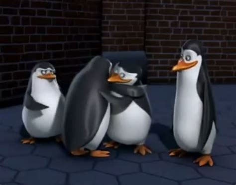 Skipper Hugging Rico Penguins Of Madagascar Photo 16636849 Fanpop