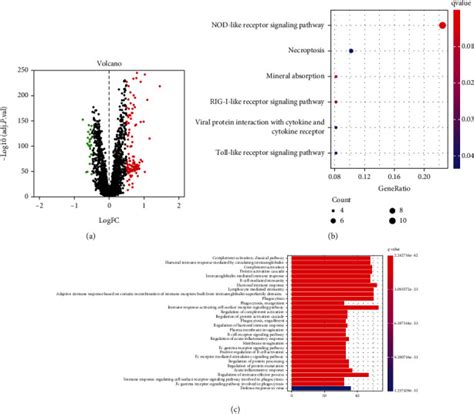 Integrative Bioinformatics Analysis Identifies Ddx60 As A Potential Biomarker For Systemic Lupus