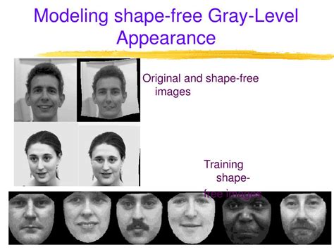Ppt Deformable Models Active Shape Models For Facial Analysis Powerpoint Presentation Id