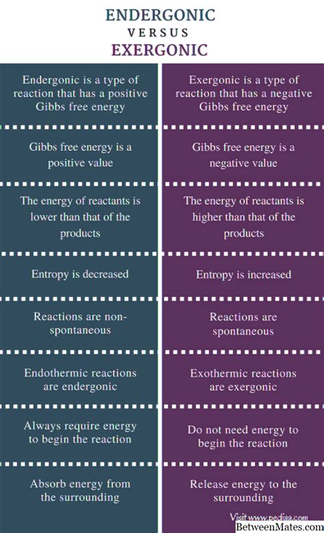 Exergonic Vs Endergonic Water Diagram Reacciones Exergónica