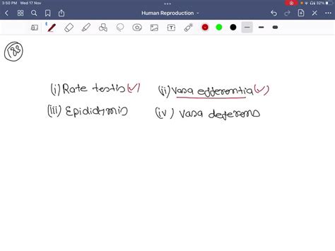 SOLVED Male Sex Accessory Ducts Include I Rete Testis Ii Vasa Efferentia Iii Epididymis