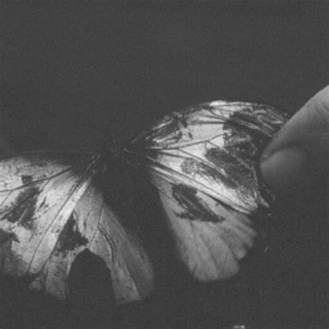 Who Work About Water Hammer Phenomena Researchgate