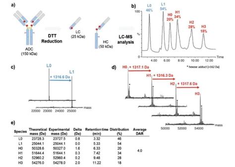 Analysis Method For Drug To Antibody Ratio Dar Of Antibody Drug