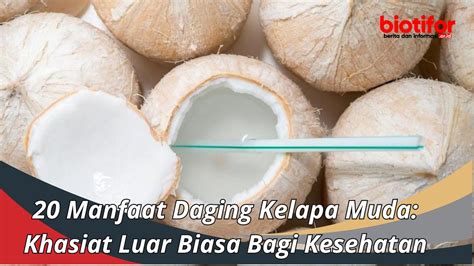 Manfaat Daging Kelapa Muda Khasiat Luar Biasa Bagi Kesehatan