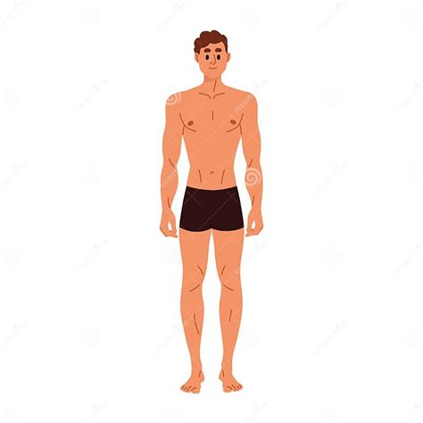Delgado Hombre Delgado Con Baúles Con Torso Desnudo Personaje