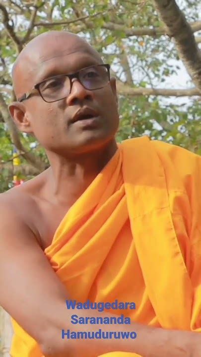 පොඩි හාමුදුරුවරු ආරක්ෂා කරගත යුතුයි 🙏🙏🙏 Hamuduruwo හාමුදුරුවෝ Srilanka සාරානන්ද New Shorts