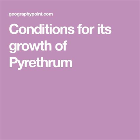 Conditions For Its Growth Of Pyrethrum