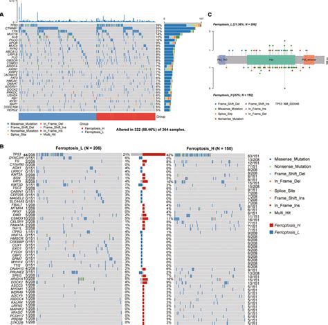 The Mutation Signature Profile Of Hcc The Plots Showed The Tmb Download Scientific Diagram