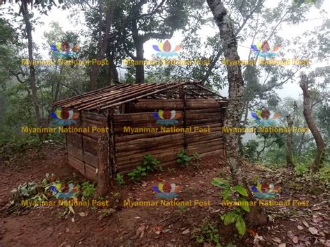 လားရှိုးမြို့နယ်၊ ဟိုလောင်းရွာအနီးရှိ Tnla အကြမ်းဖက်စခန်းကုန်းကို လုံခြုံရေးတပ်ဖွဲ့ဝင်များက တိုက