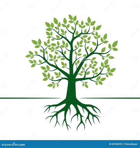 Tree Roots Vector