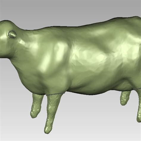 Polygon Mesh Model And Surface Model Of Different Parts A Polygon Download Scientific