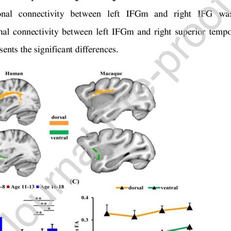Specific Coactivation Patterns Of Each Left Inferior Frontal Gyrus Download Scientific Diagram