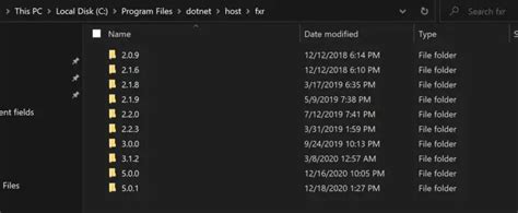 Resolved The Required Library Hostfxr Dll Could Not Be Found TheCodeBuzz