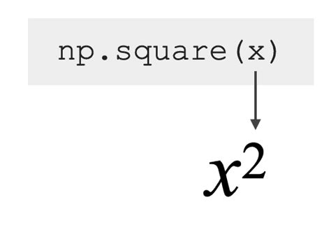 Numpy Square Explained Sharp Sight