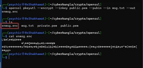 Demystifying Rsa Encryption And Decryption With Openssl Shakhawat