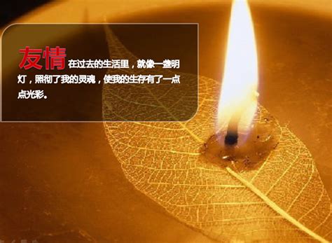 选图不错的图文混排ppt励志模板 通用模板 51PPT模板网
