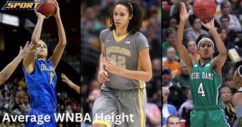 Tallest Wnba Players Top 16 Current And All Time 25 Tall Titans