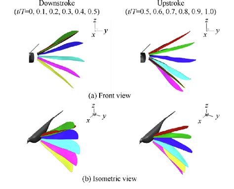Wing Reconstruction For Cfd Simulation Download Scientific Diagram