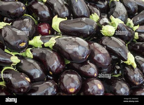 Window Display Eggplant Shop Front Shop Fronts Shop Window Shop Windows Window Displays