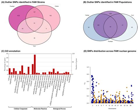 Detection Of Outlier Snps Under Positive Selection Using Pcadapt