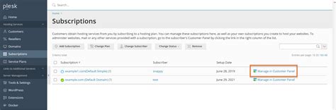 Customer Control Panel Interface Plesk