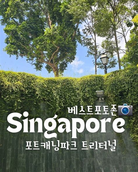 요즘뜨는 포트캐닝파크 트리터널 마이리얼트립 싱가포르여행