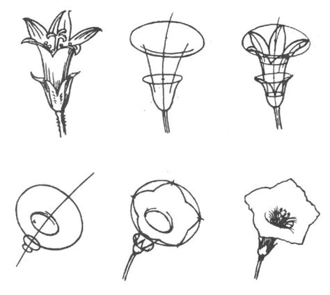 Online Coloring Pages Coloring Page Gradually Draw The Flowers How To Draw Step By Step Bunch Of