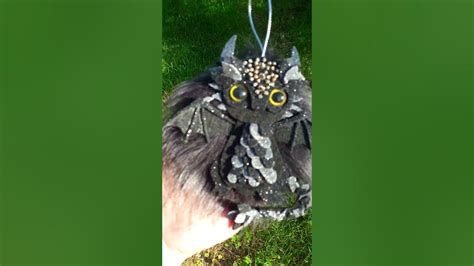 Чёрный дракон символ 2024 года Ручная работа Youtube