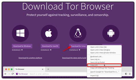 How To Install Tor Browser On Ubuntu Linux Genie